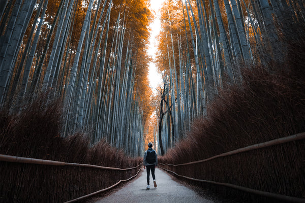 HEXplore: Keenan Lam In Japan